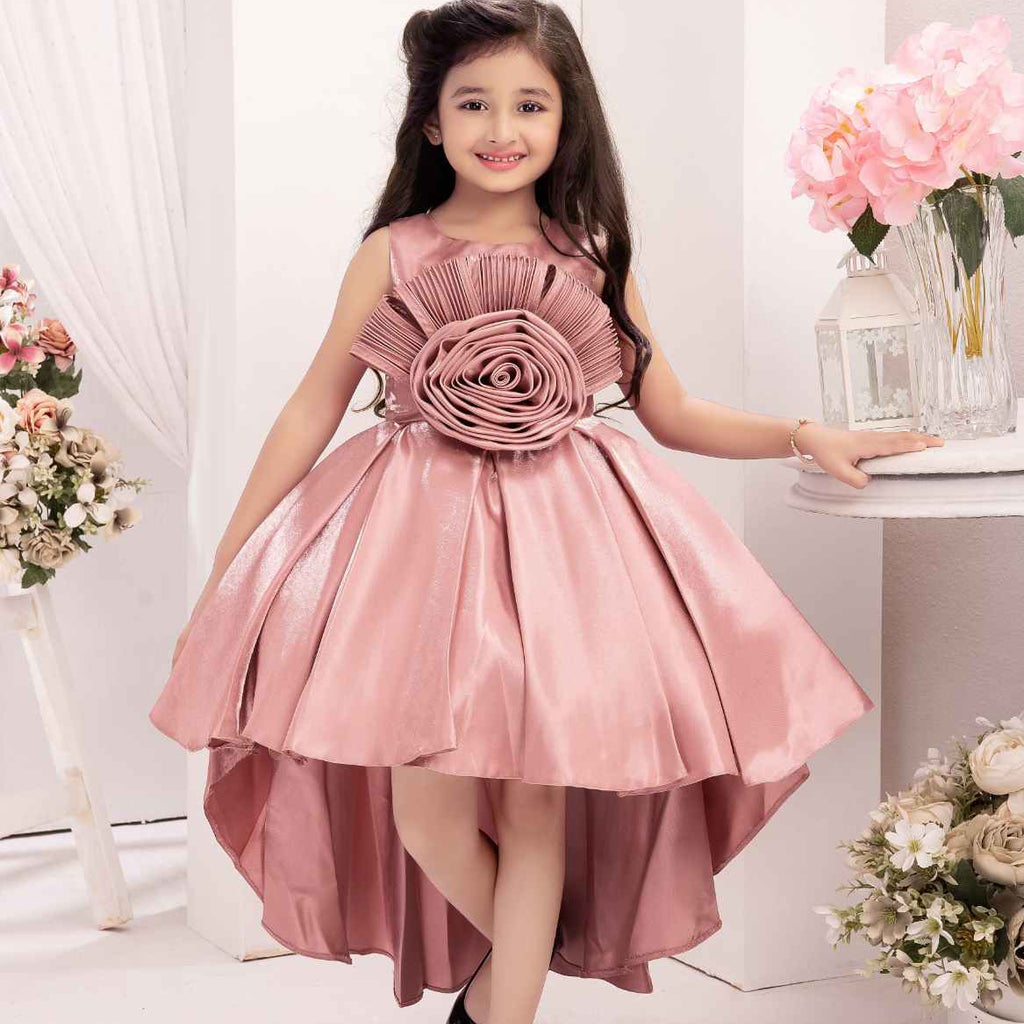 Onion Pink Embellished With Floral Tail Back Frock For Girls – Lagorii Kids